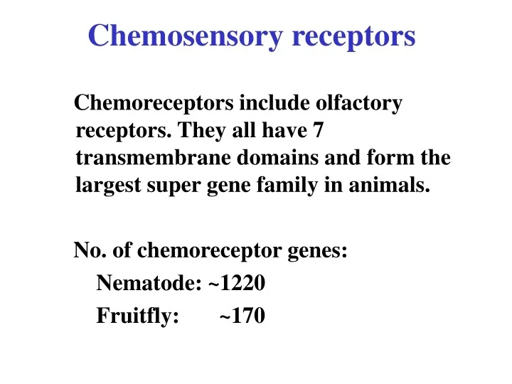PPT - Chemosensory receptors PowerPoint Presentation, free download ...
