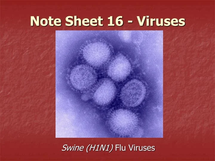 PPT - Note Sheet 16 - Viruses PowerPoint Presentation, free download ...