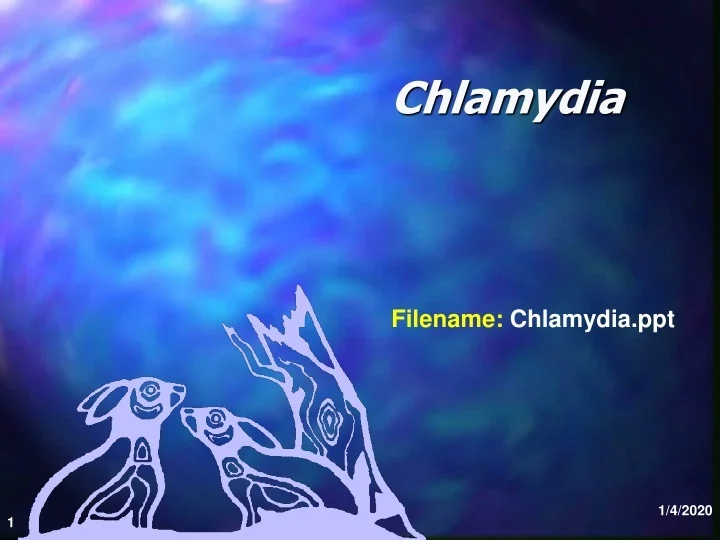 PPT - Chlamydia PowerPoint Presentation, free download - ID:9559393