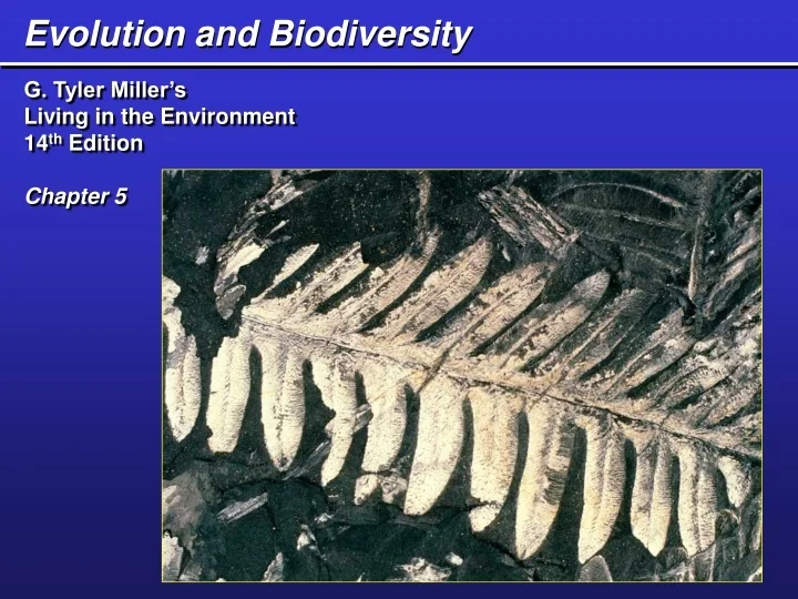 PPT - Evolution and Biodiversity PowerPoint Presentation, free download ...
