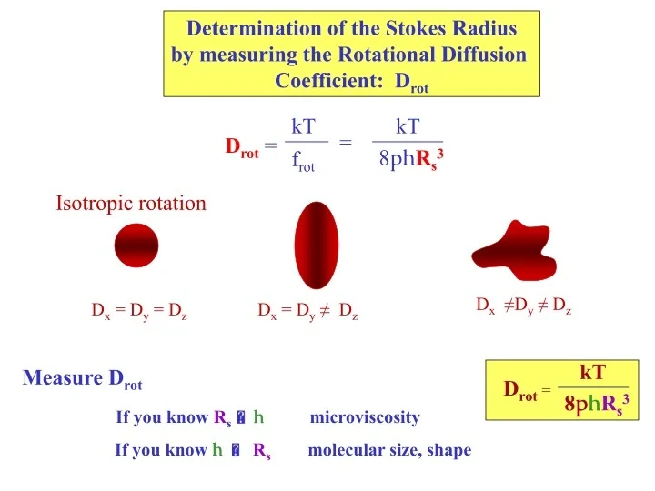 PPT - Determination of the Stokes Radius by measuring the Rotational ...