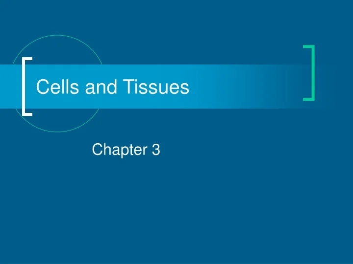 PPT - Cells and Tissues PowerPoint Presentation, free download - ID:9563167