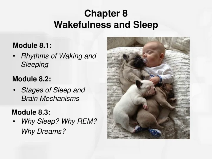 PPT - Chapter 8 Wakefulness and Sleep PowerPoint Presentation, free ...