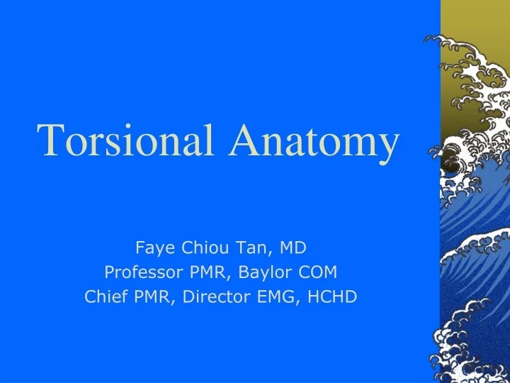 PPT - Torsional Anatomy PowerPoint Presentation, free download - ID:9575400