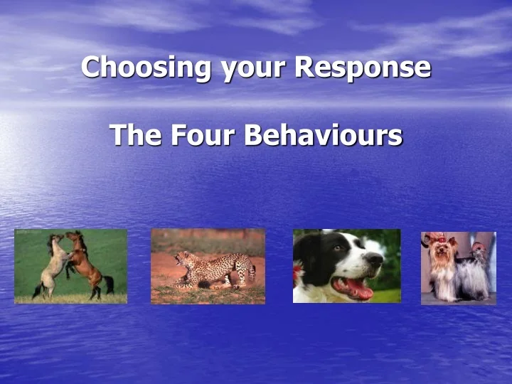 PPT - Choosing your Response The Four Behaviours PowerPoint ...