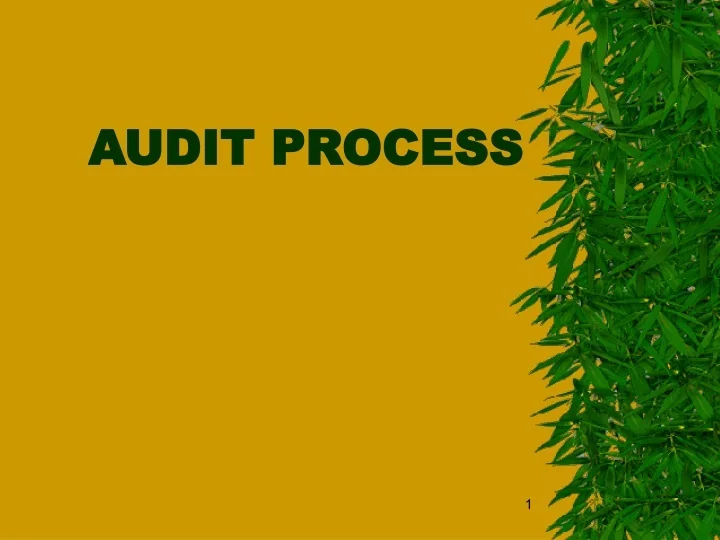 PPT - AUDIT PROCESS PowerPoint Presentation, free download - ID:9580886
