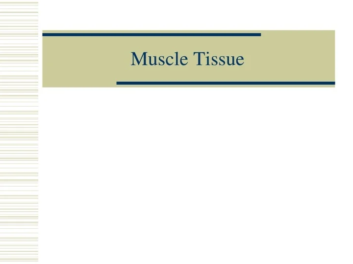 PPT - Muscle Tissue PowerPoint Presentation, free download - ID:9581031