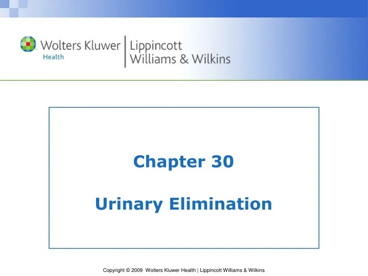 PPT - Chapter 30 Urinary Elimination PowerPoint Presentation, free ...