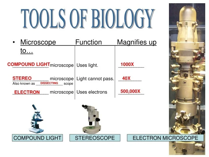 PPT - Microscope Function Magnifies up to… ______________ microscope ...
