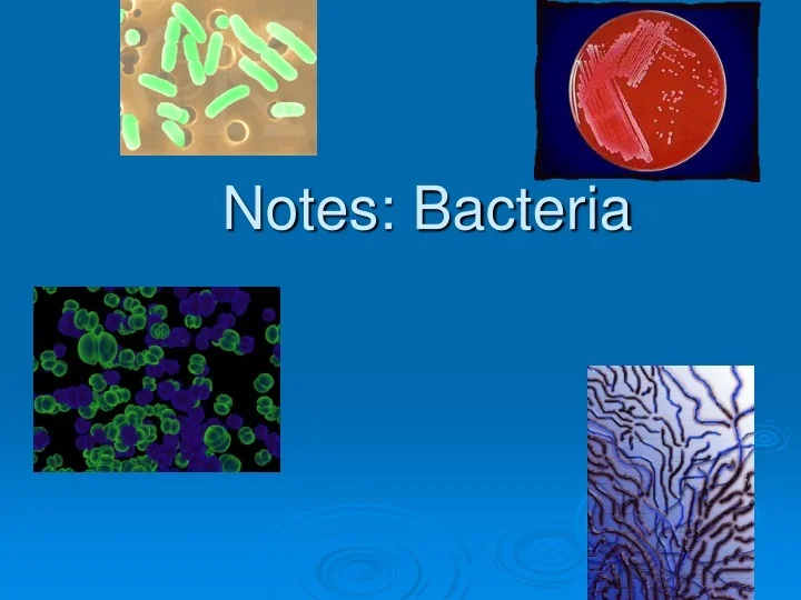 PPT - Notes: Bacteria PowerPoint Presentation, free download - ID:9585271