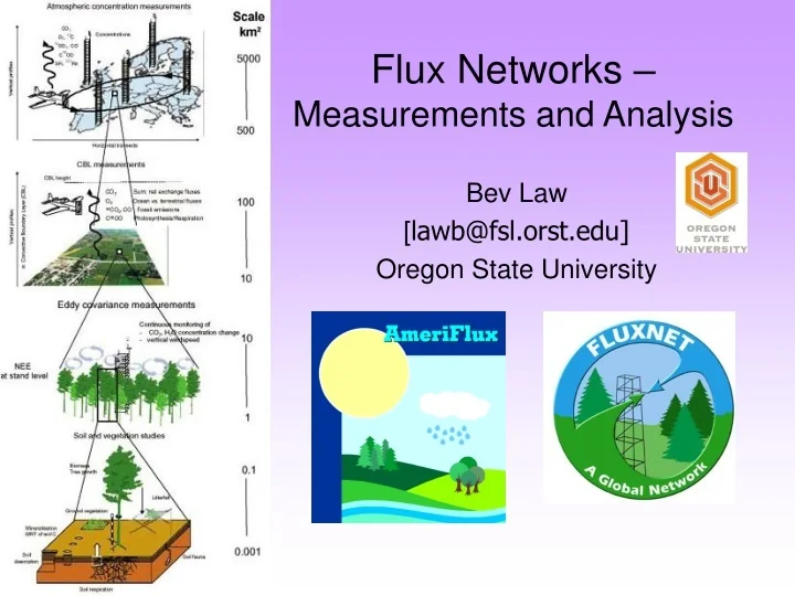 PPT - Flux Networks – Measurements and Analysis PowerPoint Presentation ...