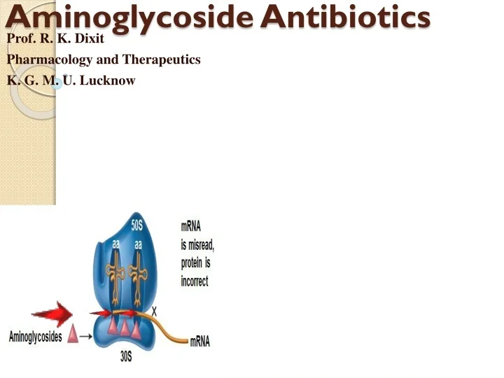 PPT - Aminoglycoside Antibiotics PowerPoint Presentation, free download ...