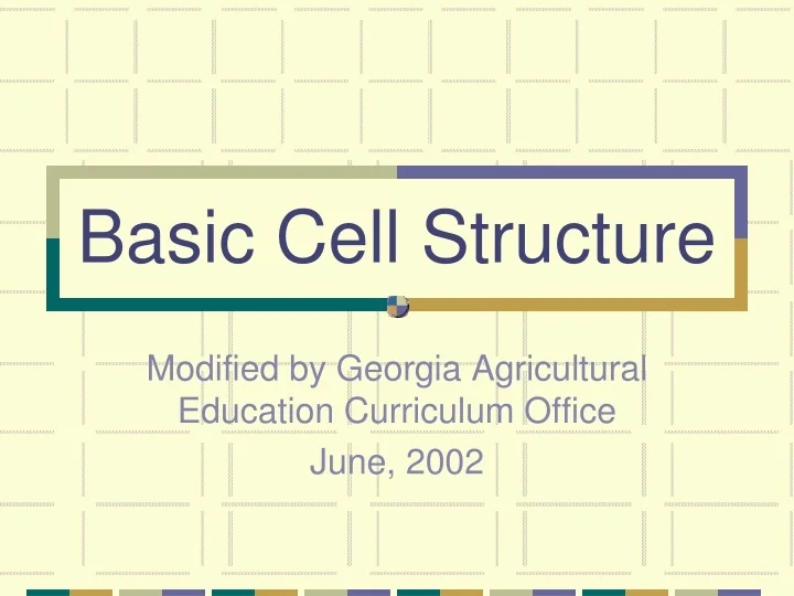 PPT - Basic Cell Structure PowerPoint Presentation, free download - ID ...