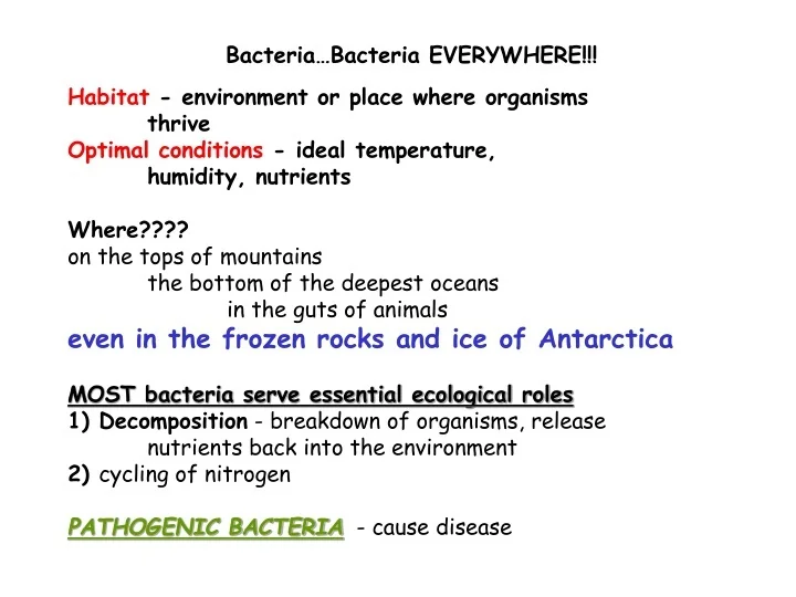 PPT - Bacteria…Bacteria EVERYWHERE!!! PowerPoint Presentation, free ...