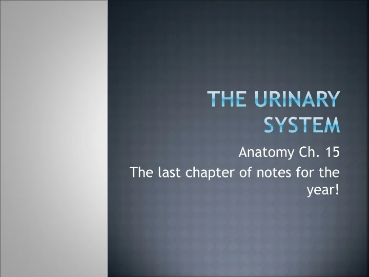 PPT - The Urinary System PowerPoint Presentation, free download - ID ...
