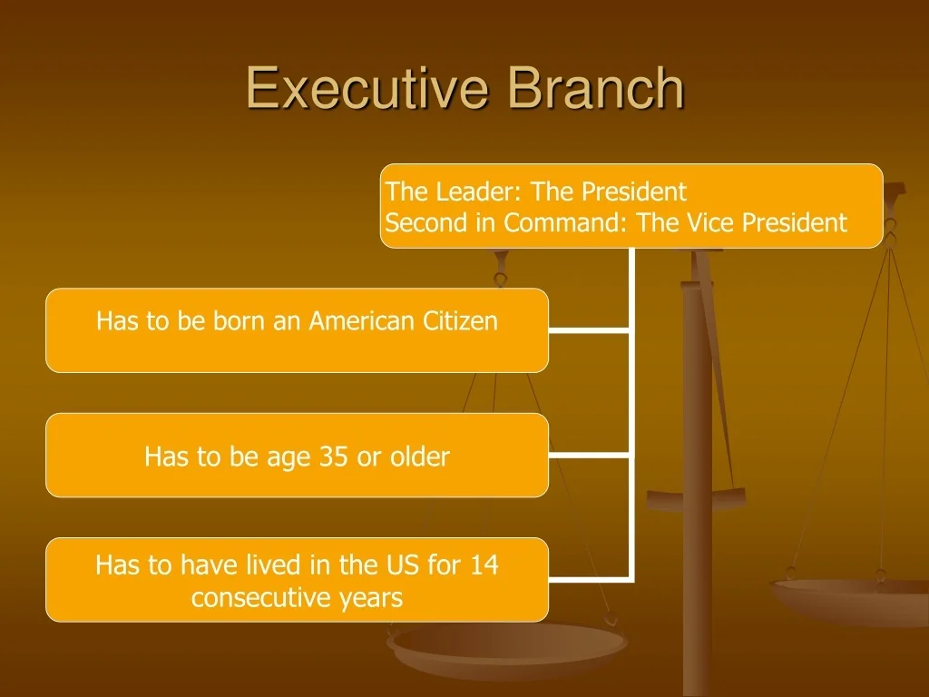 PPT What Are The Three Branches Of Government PowerPoint