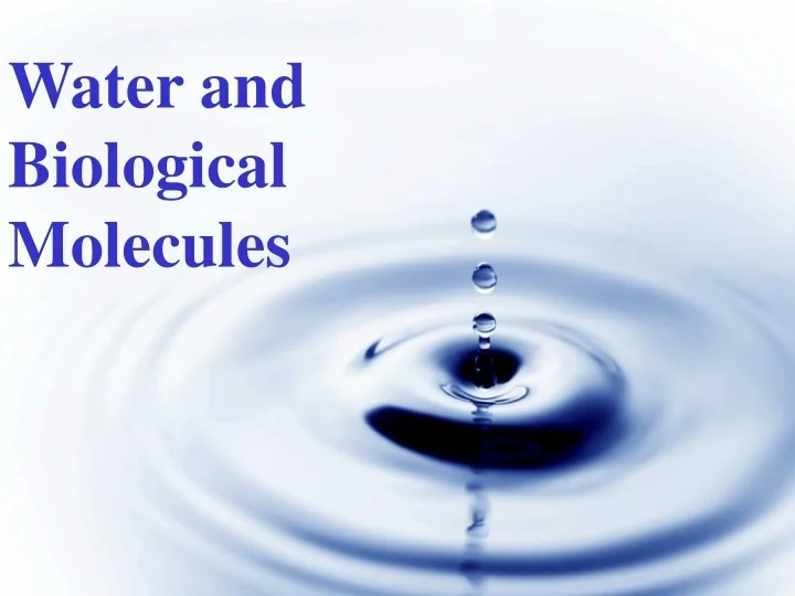 PPT - Water and Biological Molecules PowerPoint Presentation, free ...