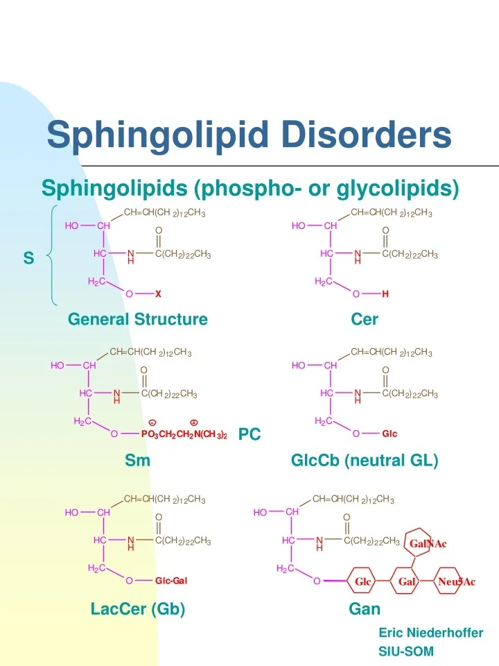 PPT - Sphingolipid Disorders PowerPoint Presentation, free download ...