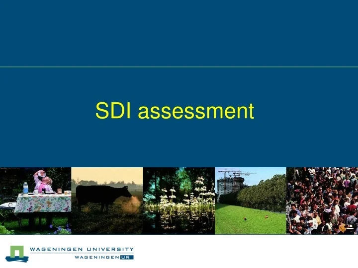 PPT - SDI assessment PowerPoint Presentation, free download - ID:9600762