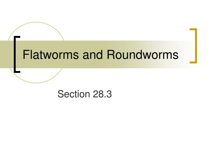 PPT - Flatworms and Roundworms PowerPoint Presentation, free download ...