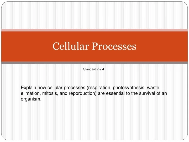 PPT - Cellular Processes PowerPoint Presentation, free download - ID ...