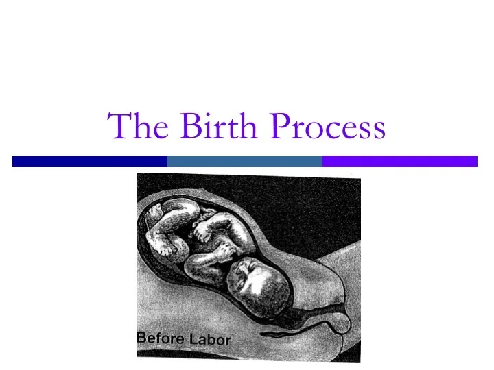 PPT - The Birth Process PowerPoint Presentation, free download - ID:9609202