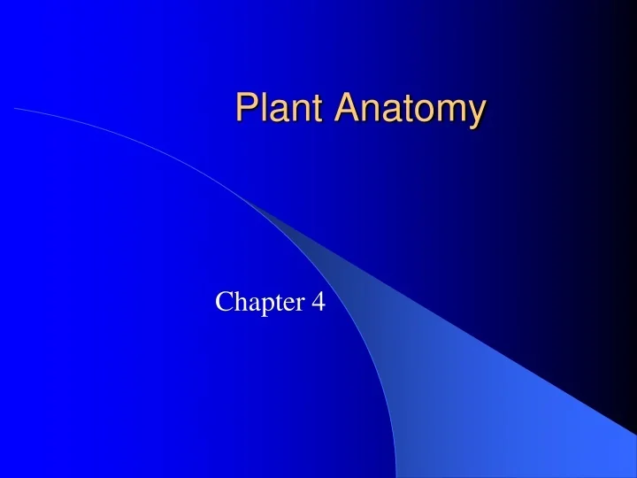 PPT - Plant Anatomy PowerPoint Presentation, free download - ID:9612385