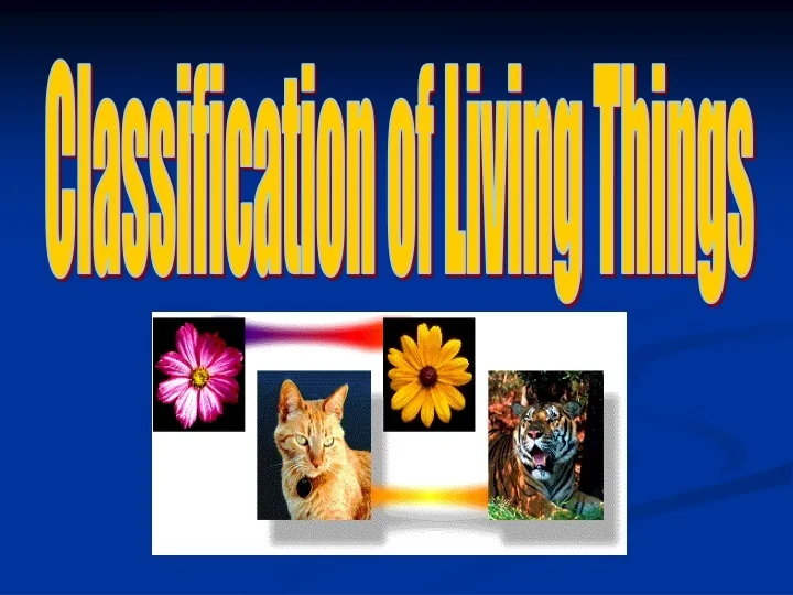 PPT - Classification of Living Things PowerPoint Presentation, free ...
