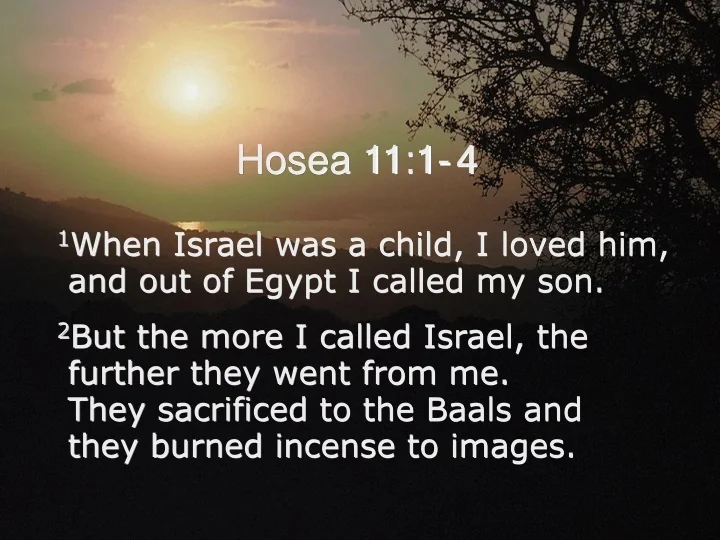 PPT - Hosea 11:1- 4 PowerPoint Presentation, free download - ID:9612980
