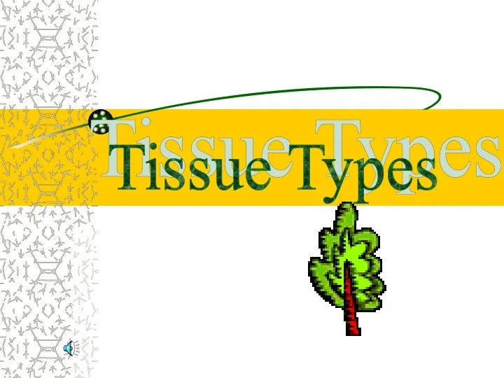 PPT - Tissue Types PowerPoint Presentation, free download - ID:9615903