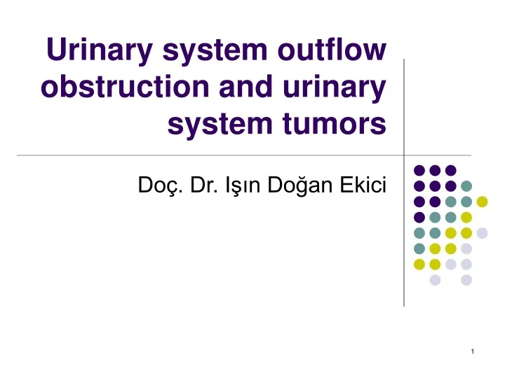 PPT - Urinary system outflow obstruction and urinary system tumors ...