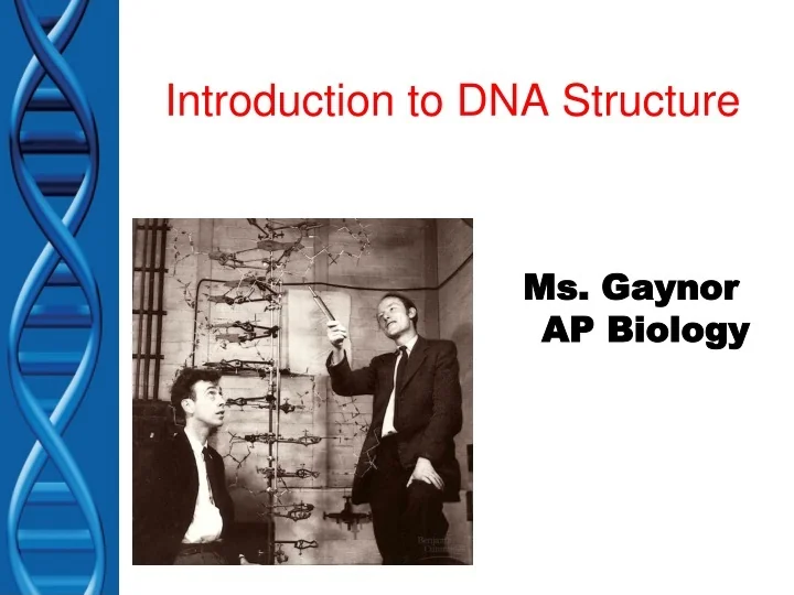 PPT - Introduction to DNA Structure PowerPoint Presentation, free ...