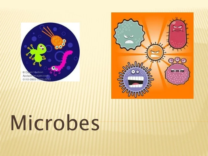 PPT - Microbes PowerPoint Presentation, free download - ID:9617753
