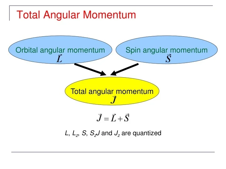 PPT - Total Angular Momentum PowerPoint Presentation, free download ...