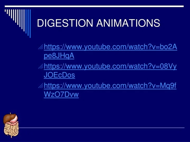 PPT - DIGESTION ANIMATIONS PowerPoint Presentation, free download - ID ...