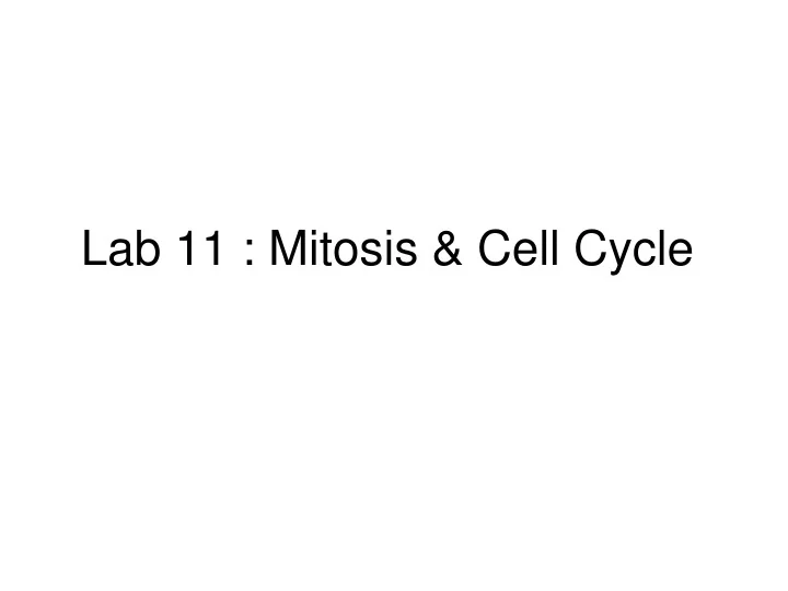PPT - Lab 11 : Mitosis & Cell Cycle PowerPoint Presentation, free download - ID:9626428