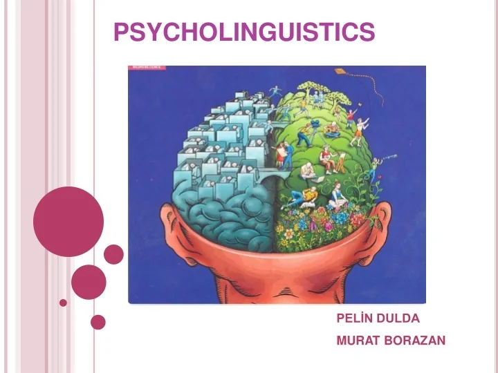 PPT - PSYCHOLINGUISTICS PowerPoint Presentation, free download - ID:9628786