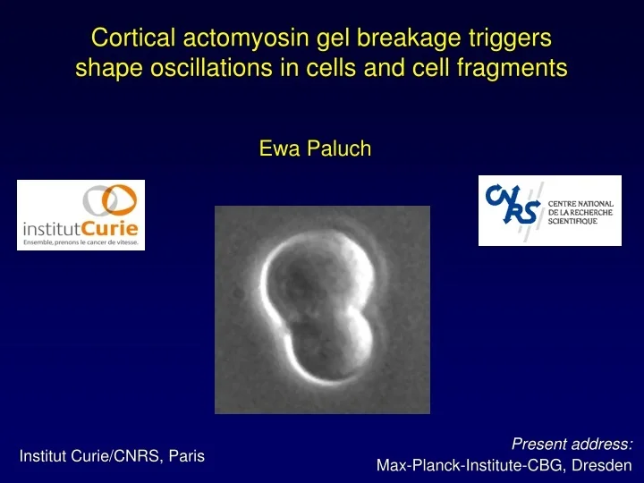 PPT - Ewa Paluch PowerPoint Presentation, free download - ID:9631347