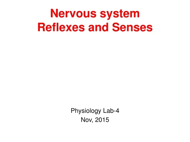 PPT - Nervous system Reflexes and Senses PowerPoint Presentation, free ...