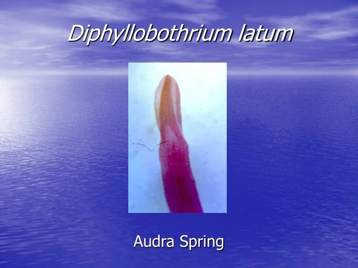PPT - Diphyllobothrium latum PowerPoint Presentation, free download ...