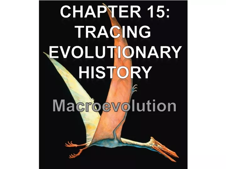 PPT - Chapter 15: Tracing Evolutionary History PowerPoint Presentation ... PPT - Chapter 15: Tracing Evolutionary History PowerPoint Presentation ...