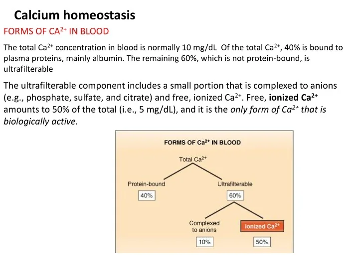 PPT - Calcium homeostasis PowerPoint Presentation, free download - ID ...