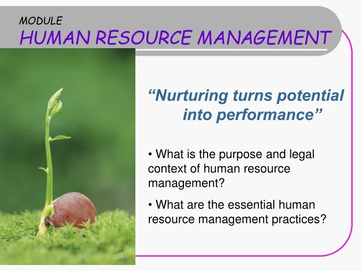 PPT - MODULE HUMAN RESOURCE MANAGEMENT PowerPoint Presentation, free ...