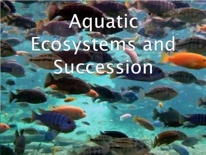 PPT - Aquatic Ecosystems and Succession PowerPoint Presentation, free ... PPT - Aquatic Ecosystems and Succession PowerPoint Presentation, free ...