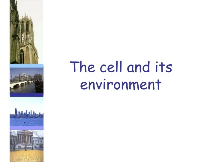 PPT - The cell and its environment PowerPoint Presentation, free ...