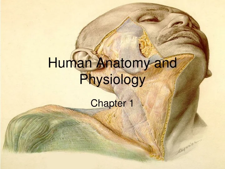PPT - Human Anatomy and Physiology PowerPoint Presentation, free ...