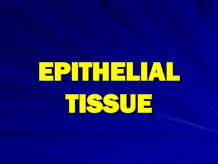 PPT - EPITHELIAL TISSUE PowerPoint Presentation, free download - ID:9638496