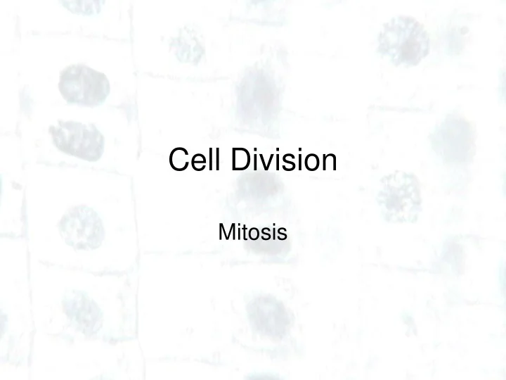 PPT - Cell Division PowerPoint Presentation, free download - ID:9638531