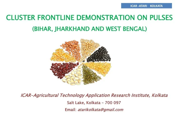 PPT - CLUSTER FRONTLINE DEMONSTRATION ON PULSES (BIHAR, JHARKHAND AND ...