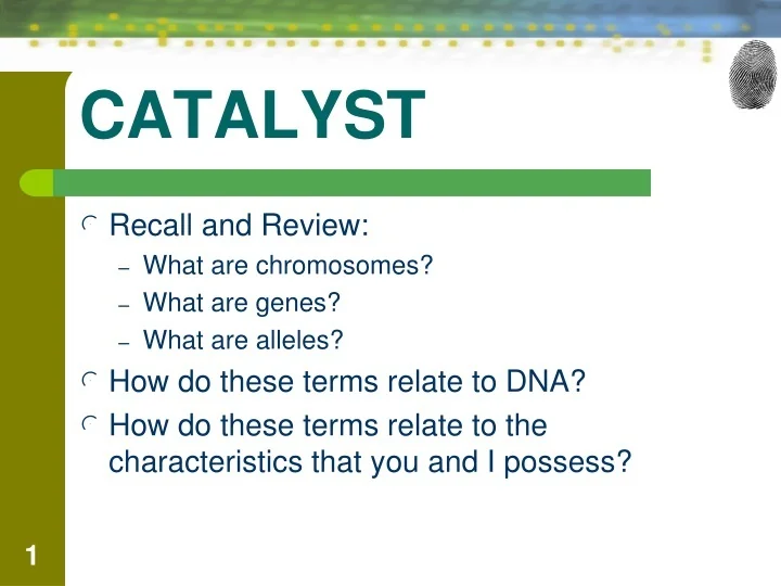PPT - CATALYST PowerPoint Presentation, free download - ID:9639069